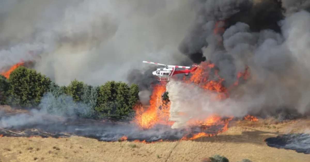 Australian Bushfires Kill Seven Horses At Lindsay Park Farm - Paulick ...