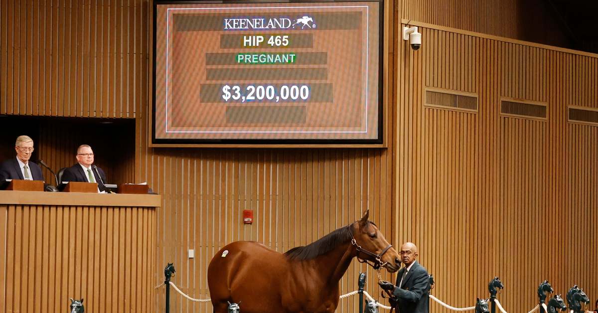 $3.2 Million Broodmare Tiffany Case Tops Opening Day Of Keeneland ...