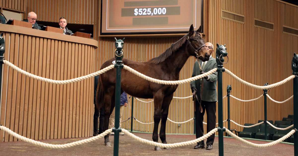 'The Market Never Had Enough': Gross Sales Exceed $53 Million For Two ...