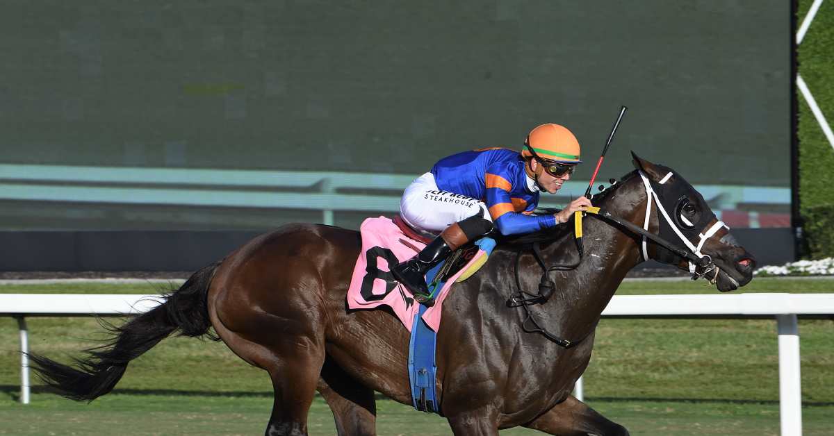 Gulfstream Park: Neoequos Rolls Home In Grass Debut In Sunshine Turf ...