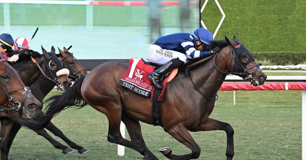 Test Scores Leads 1-2 Pegasus Turf Finish For Graham Motion - Paulick ...