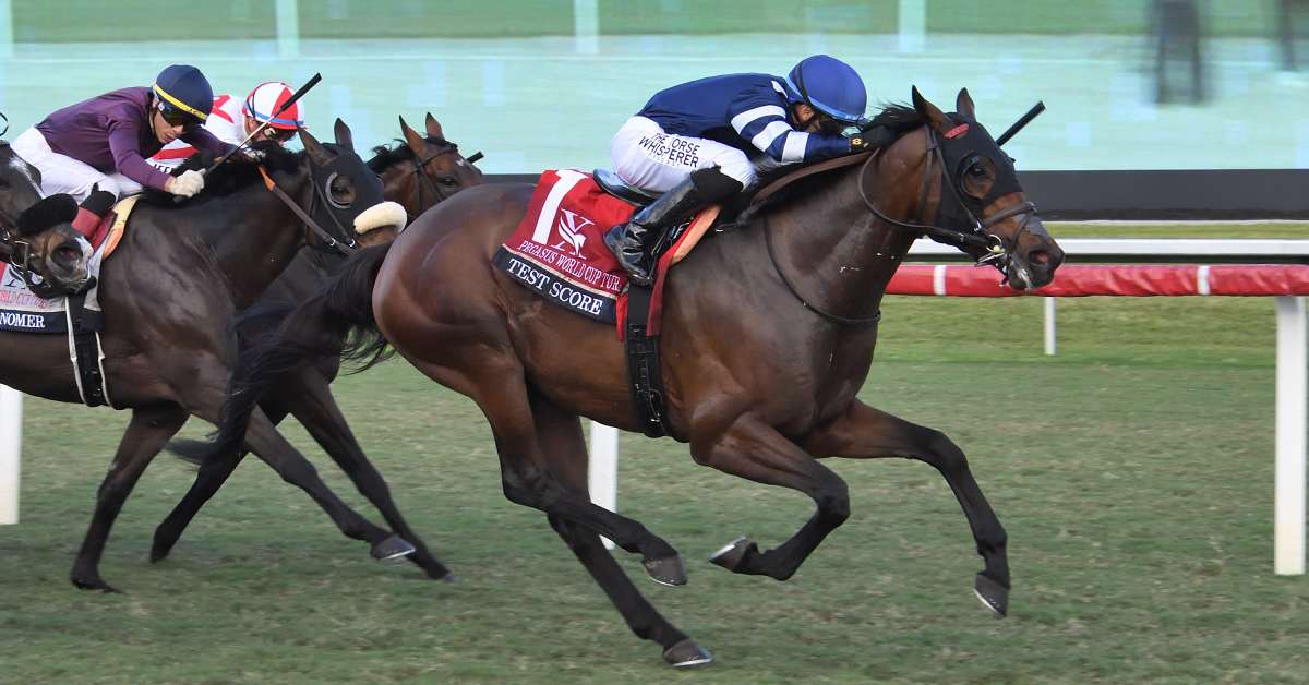 Bloodlines Presented By Walmac Farm: Test Score Gives Sire Lookin At ...