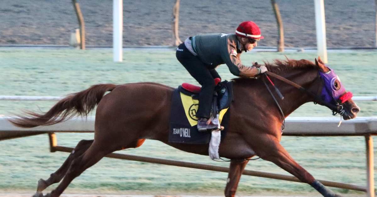 Doug O’Neill Hopes Texas Derby Winner E J Won The Cup Can Ice Rivals In ...