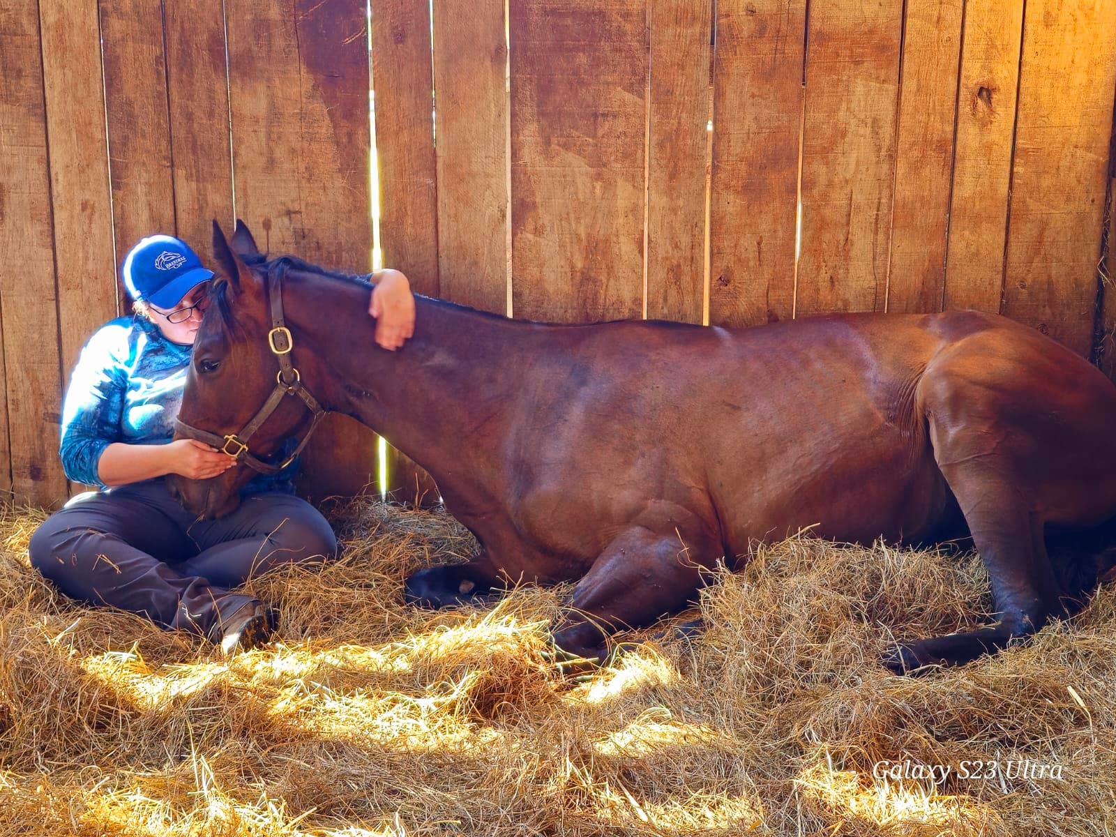 Kirkpatrick & Co. Presents In Their Care: After Family Tragedy, 'Horses ...