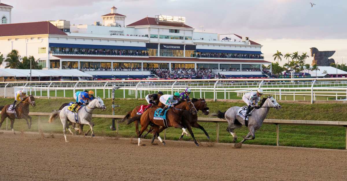 FTBOA Endorses Florida Horsemen’s Benevolent And Protective Association ...