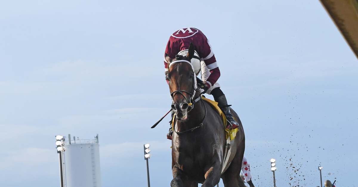 Bloodlines Presented By Walmac Farm: Delacroix, Magnitude Show ...