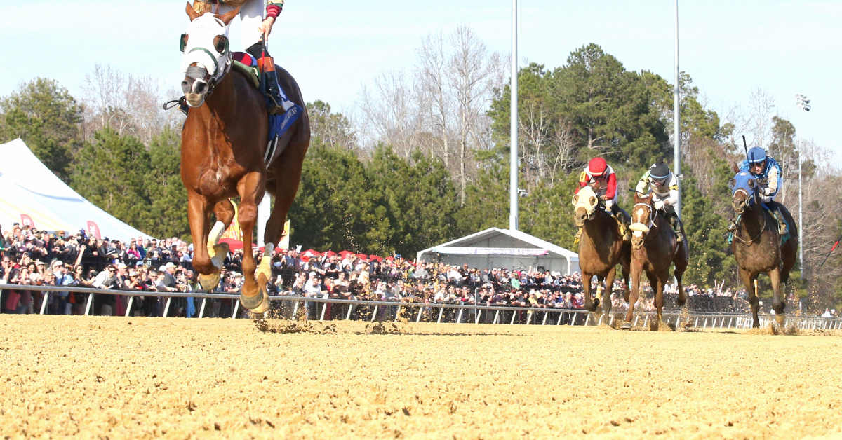 'Training Good': Virginia Derby Third Omaha Omaha Possible For Wood ...