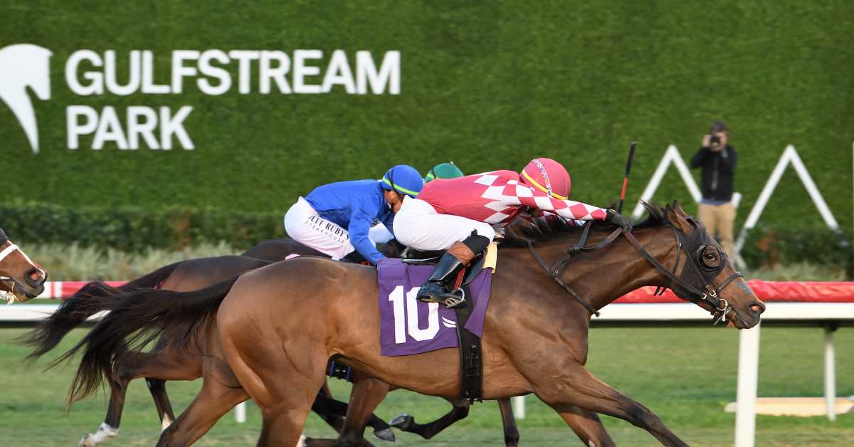 'Hard To Believe This Is Her First Win': Nitrogen Fires For Maiden ...