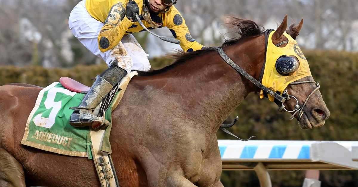 New York-Bred Bank Frenzy Rolls Home In Stymie For Third Straight Win ...