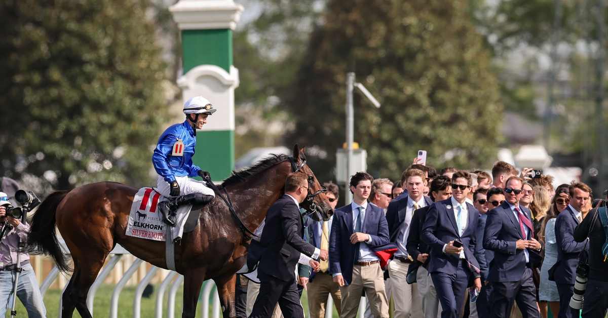 Silver Knott Notches First U.S. Win In Elkhorn - Paulick Report ...