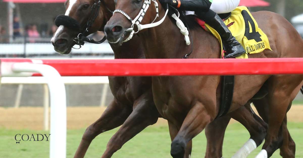 Colonial Downs: Doncho, Safe Trip Home Among Stakes Winners On Old Dominion Derby Undercard ...