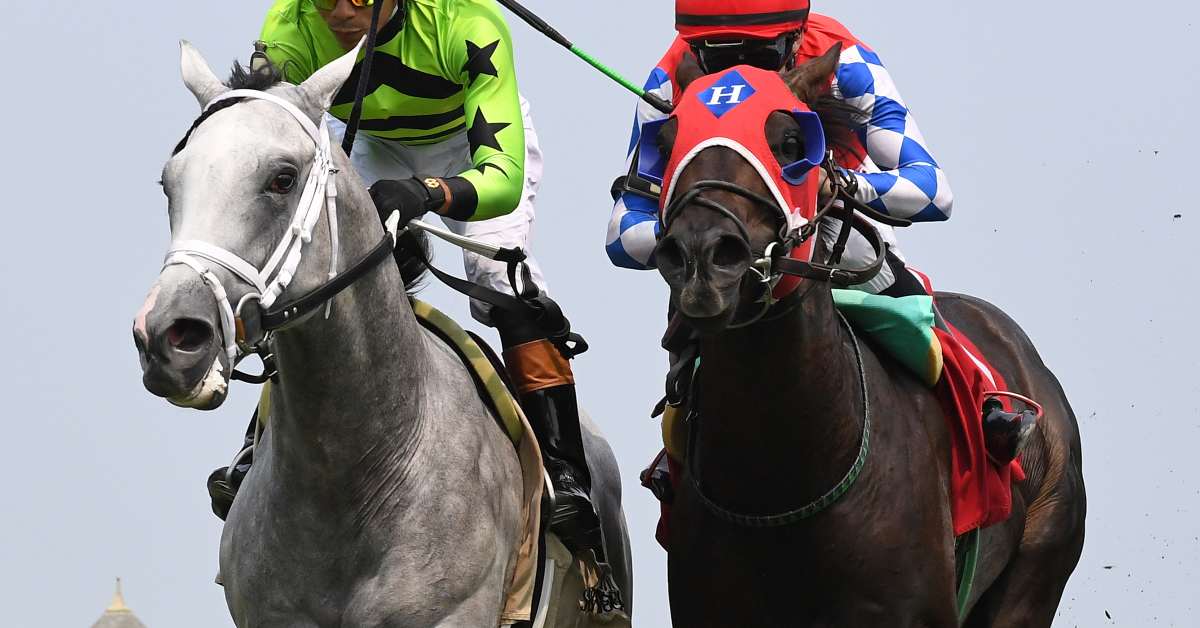 After Stretch-Long Battle, Out On Bail Survives Inquiry To Win Skidmore - Paulick Report ...