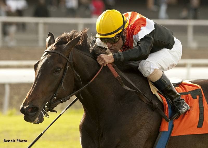 Canadian Horse Racing Hall Of Fame Announces Thoroughbred, Standardbred ...