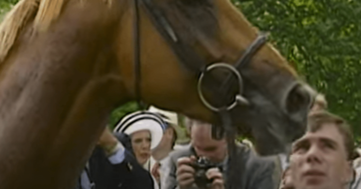 'Generous By Name And Generous By Nature': Record-Setting 1991 Horse Of ...