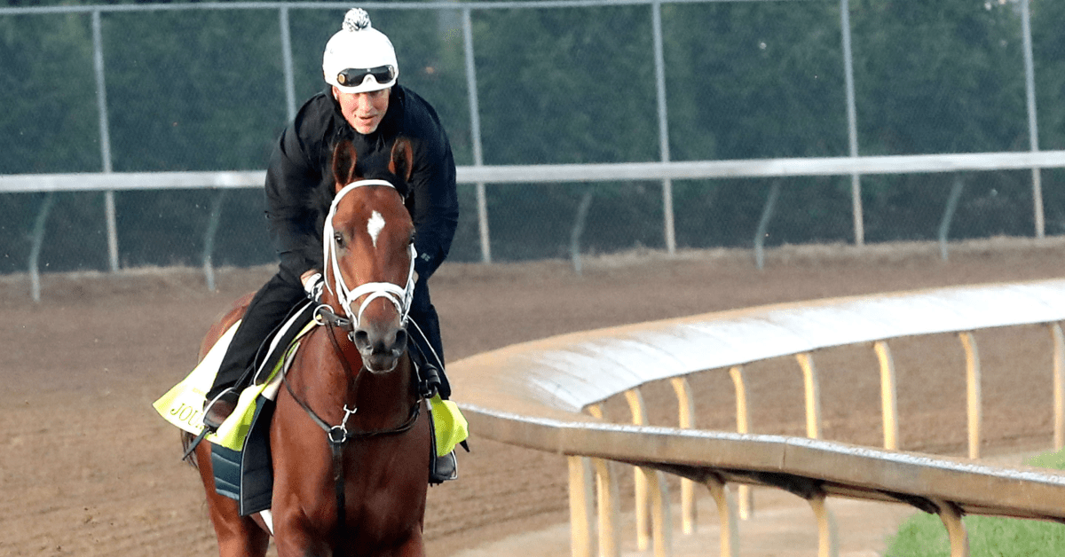 Watch: Michael McCarthy Says Journalism's 'Secret Weapon' Is His Mind ...