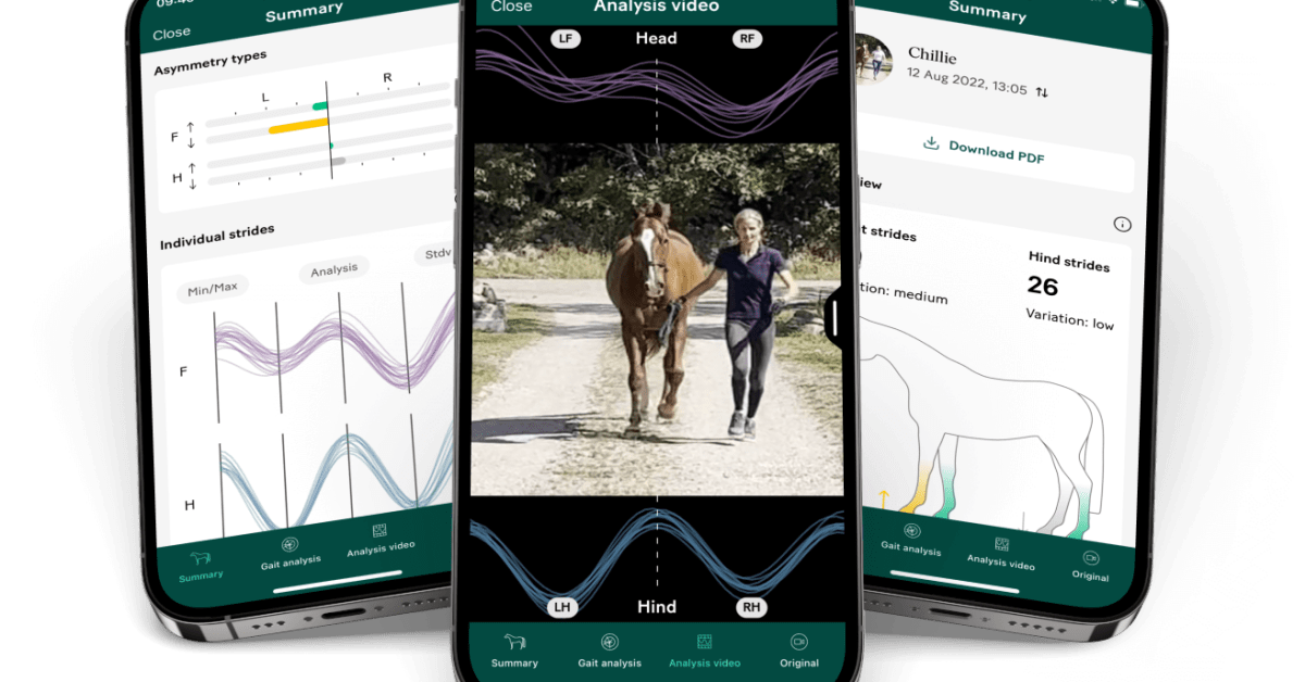 Artificial Intelligence: Regulatory Vets Using An App To Help Improve ...