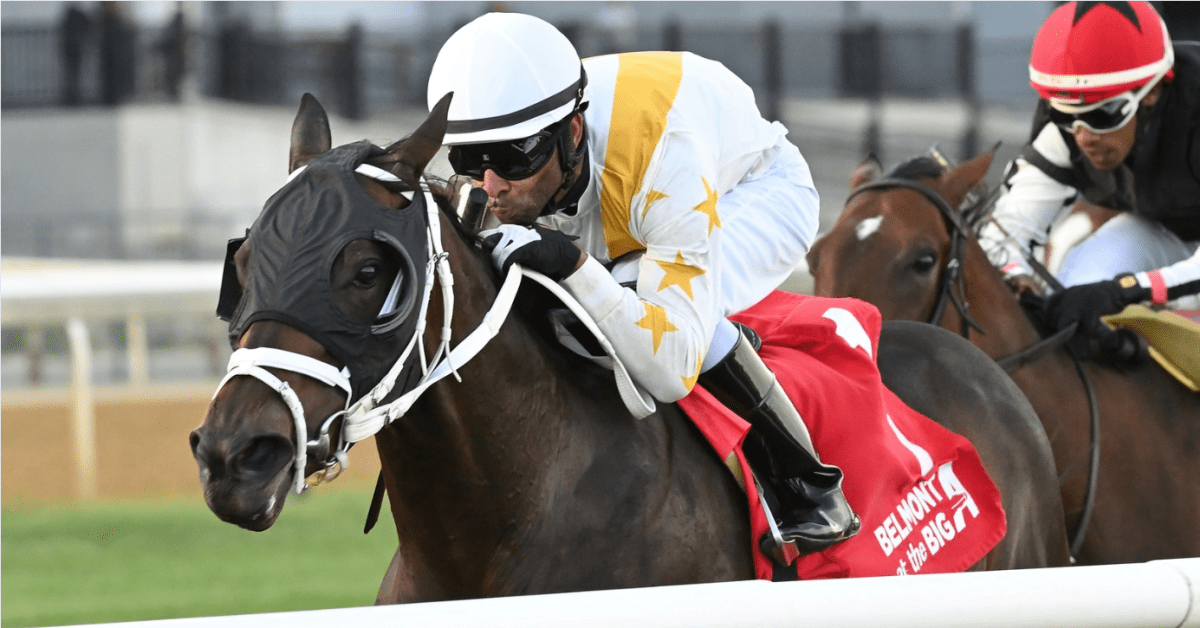 'I Just Let Her Rock And Roll': Luna Louska Wires Floral Park - Paulick ...