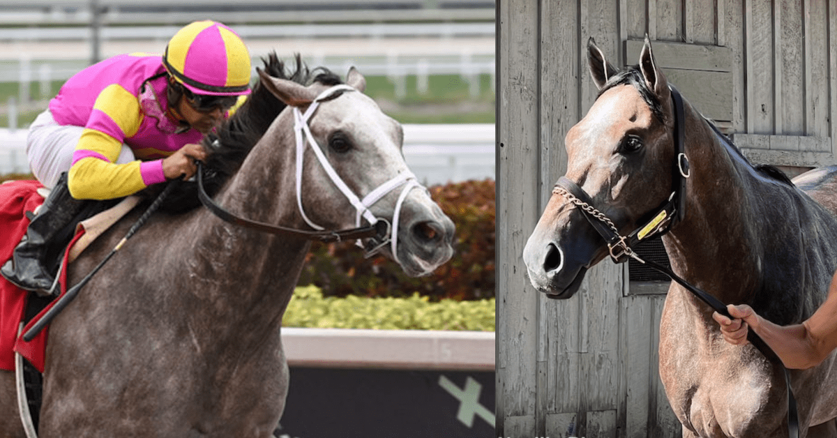 What Separates Tapit Trice And Charge It, Gainesway's Two New Sons Of ...
