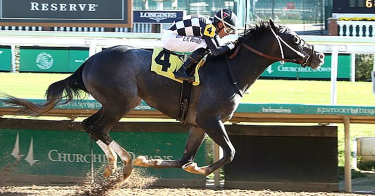 'We Believe We've Got A Good Horse': Moquett Points Speed King To ...