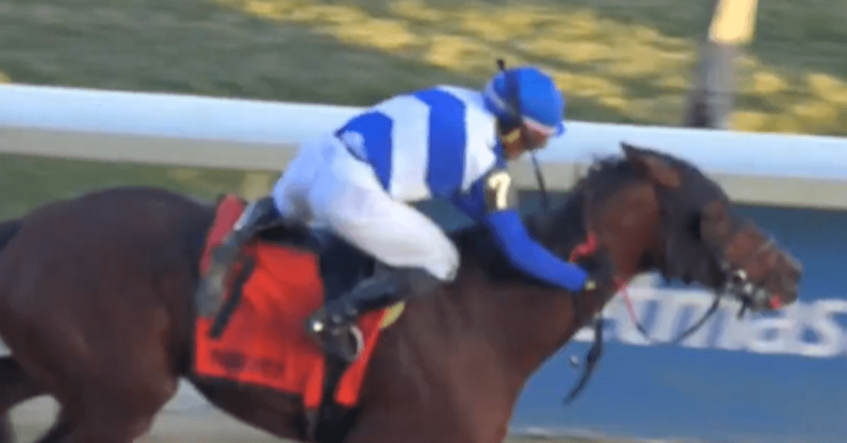 'Never A Dull Moment': Romero Maragh Clings To Victory At Aqueduct ...