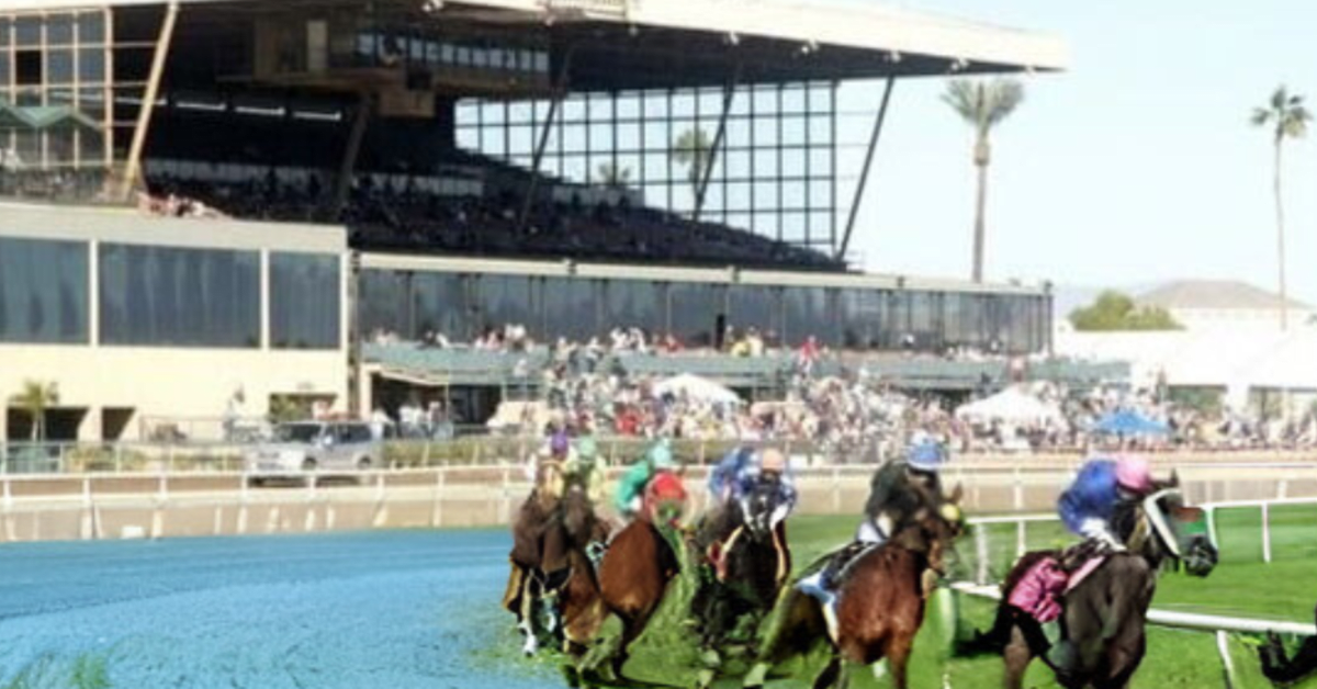 'I Don't Know How A Horse Would React': Turf Paradise Planning To Turn ...