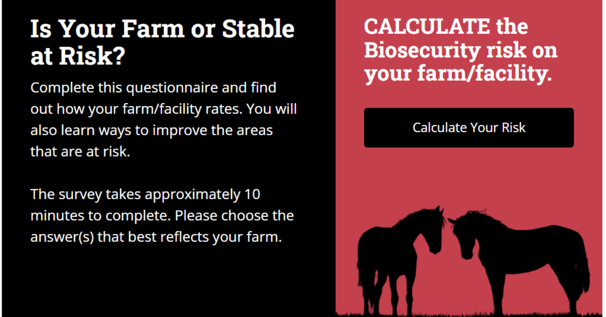Biosecurity Risk Calculator: New Tool Available From Equine Guelph ...