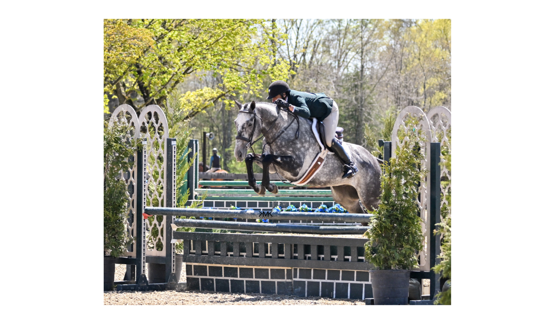 $25,000 Thoroughbred Hunter Derby To Debut At Virginia Horse Show In ...