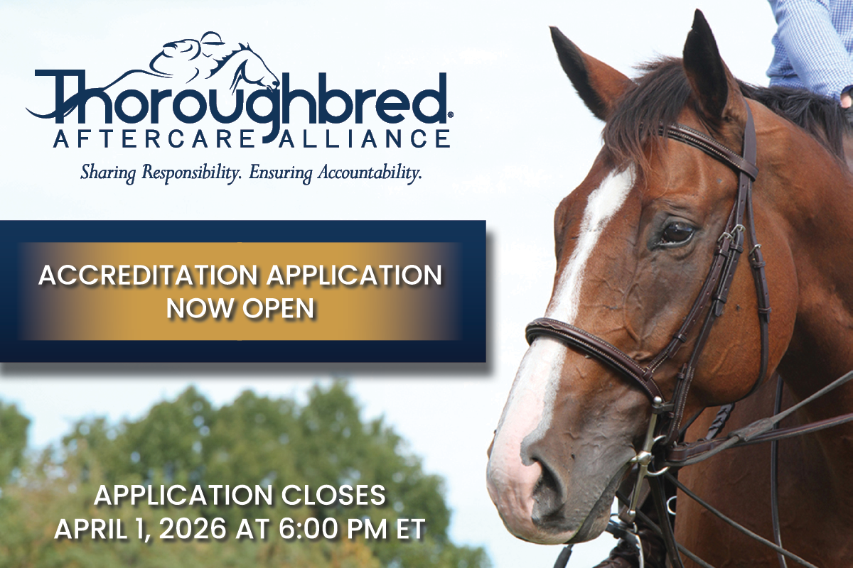 Thoroughbred Aftercare Alliance Opens 2026 Accreditation Application ...