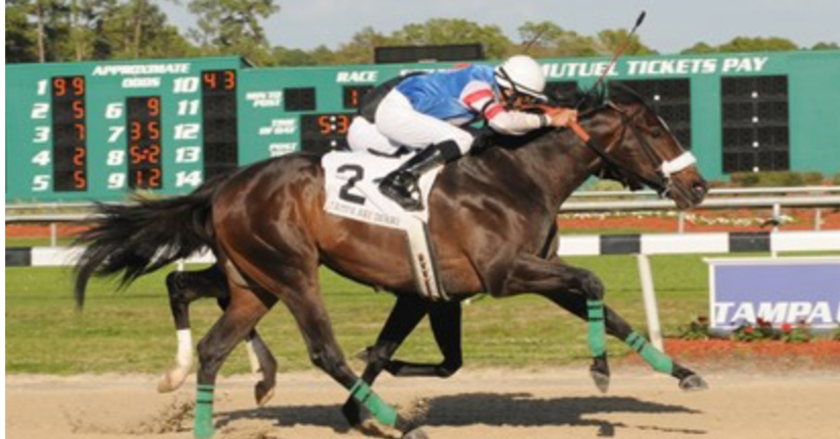 Kentucky Derby-Placed Musket Man Dies In Korea At Age 20 - Paulick ...