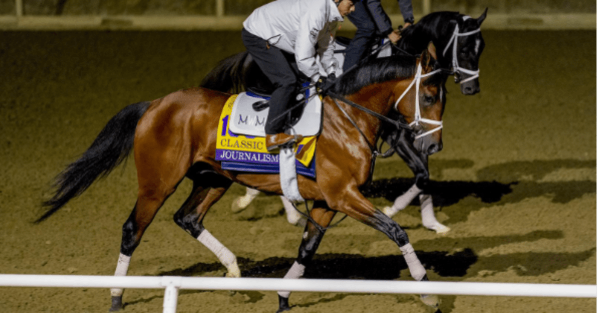 Breeders’ Cup Classic Buzz: McCarthy Hopes For Tactical Trip For ...