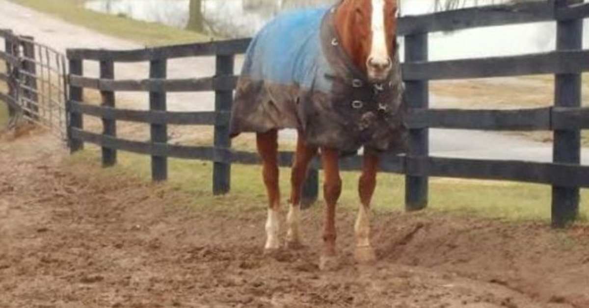 Winter Will Be Here Before You Know It; Is Your Horse Farm Ready For ...