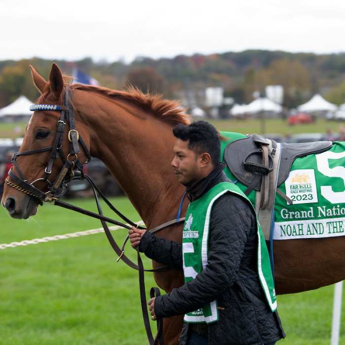 Steeplechase: Grade 1 Winners Snap Decision, Noah And The Ark Headline Saturday's Temple ...