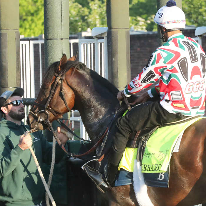 Chad Brown 'Very Pleased' With Two Days Of Gate Schooling For Sierra ...