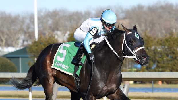 Racing - Paulick Report | Shining Light on the Horse Industry