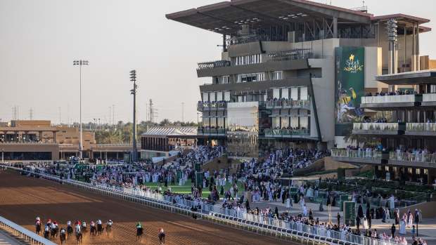 Painting a Clear Picture: Unique Aussie Thoroughbred Wins Racecourse ...