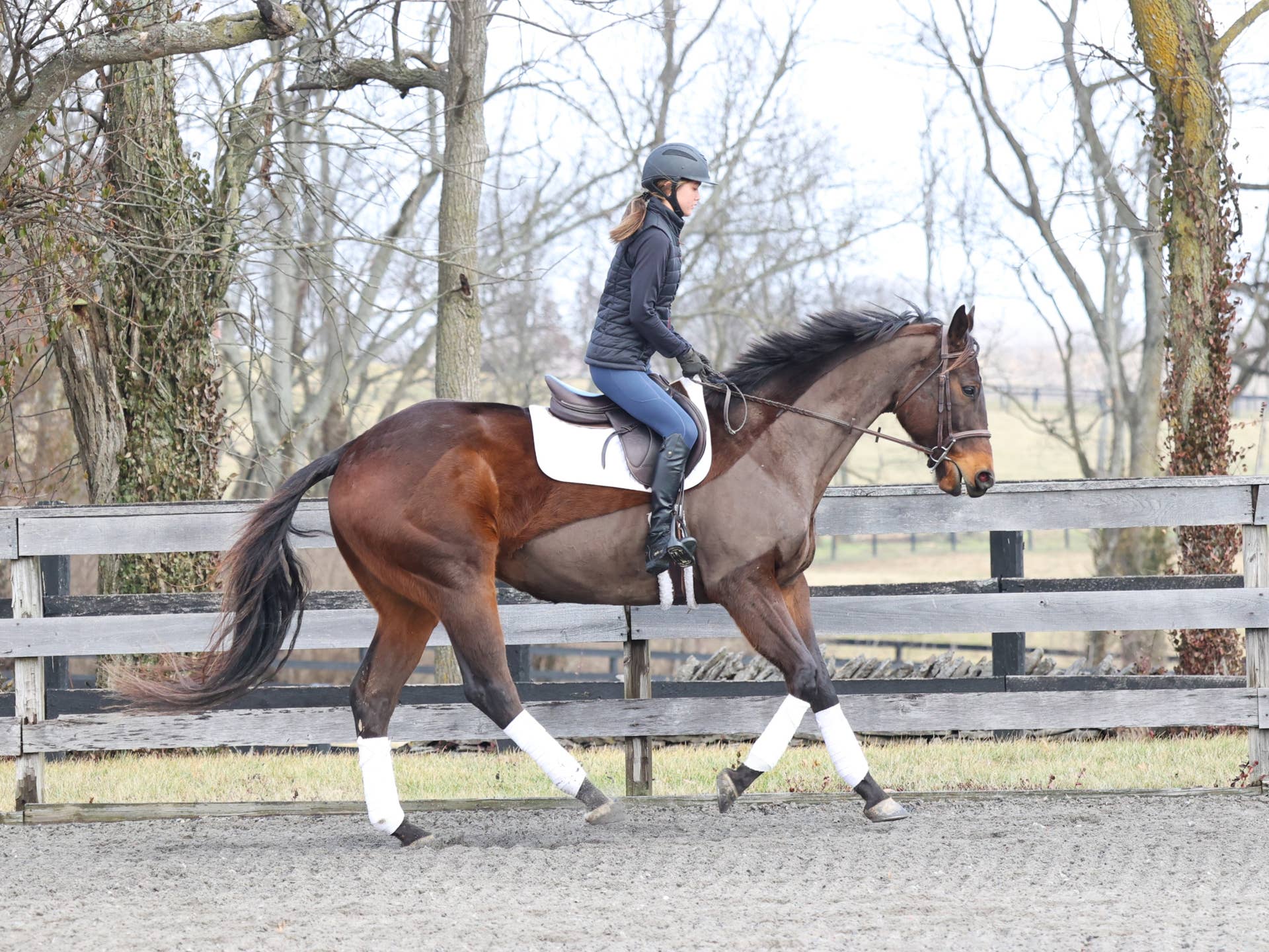 OTTB Training Toolkit - Paulick Report | Latest news and commentary ...