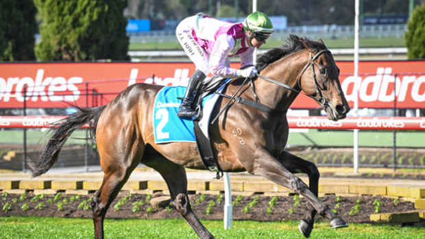 News - Paulick Report | Shining Light on the Horse Industry