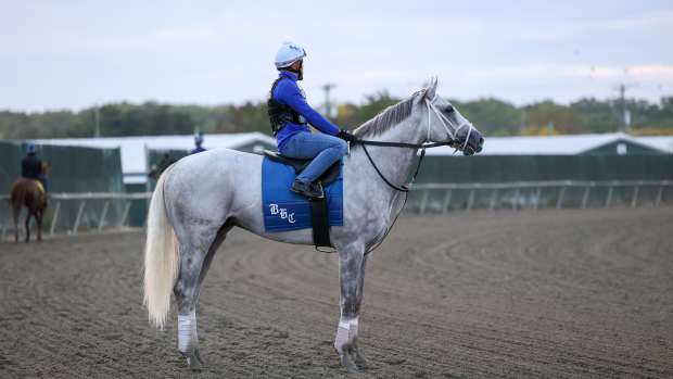 Pennsylvania Derby - Paulick Report | Latest news and commentary from ...