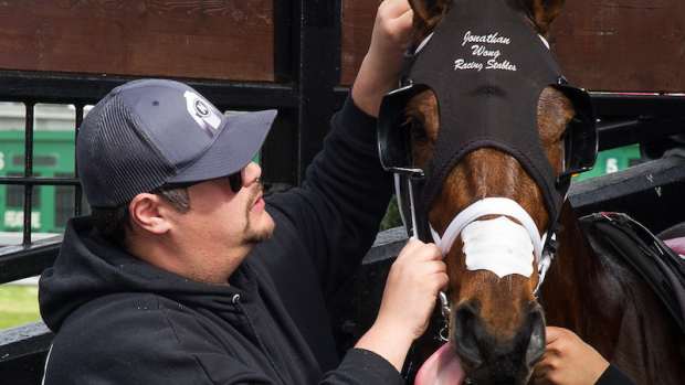 Horse racing opinion and analysis by the Paulick Report - Paulick ...