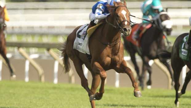 Thoroughbred horse racing news from the Paulick Report - Paulick Report ...