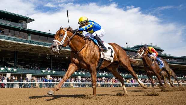 Colloquial - Paulick Report | Latest news and commentary from the horse ...