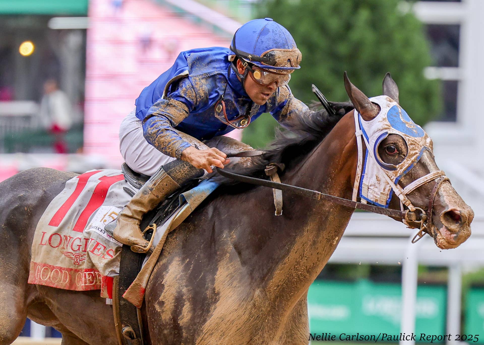 Road To The Kentucky Oaks: Tarifa Terrific In Rachel Alexandra ...