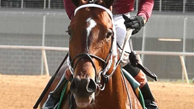 Articles by Ellis Starr - National Racing Analyst for Equibase ...