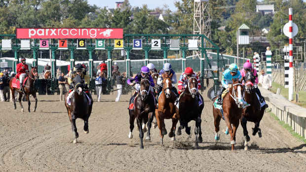 Thoroughbred racing business news from the Paulick Report - Paulick ...
