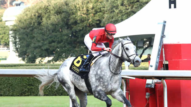 Bob Hess Jr. - Paulick Report | Latest news and commentary from the ...