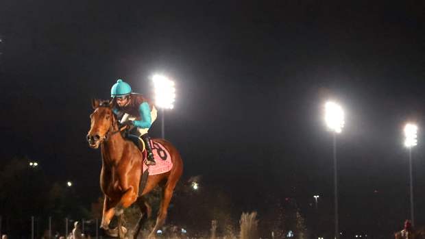 Study: Do Early-Season Foals Make More Money At The Races? - Paulick ...