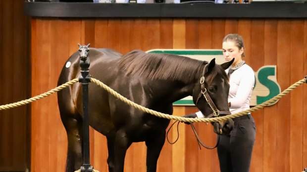 Trainer Jason Servis' Trial Date Set For January Of 2023 - Paulick ...