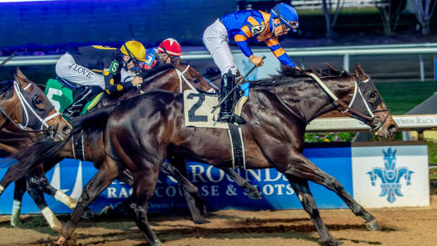 Crown The Buckeye - Paulick Report | Latest news and commentary from ...