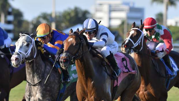 Abundantia - Paulick Report | Latest news and commentary from the horse ...