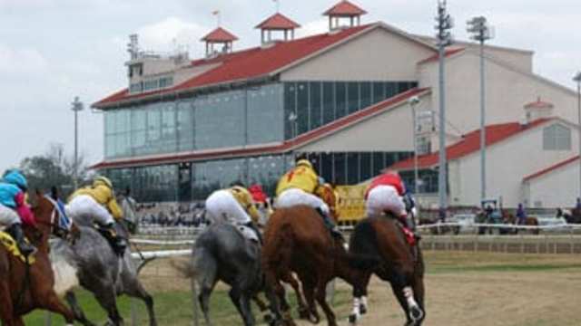 HISA: Horses Racing And Working In Louisiana Will Be On Vet's List When ...